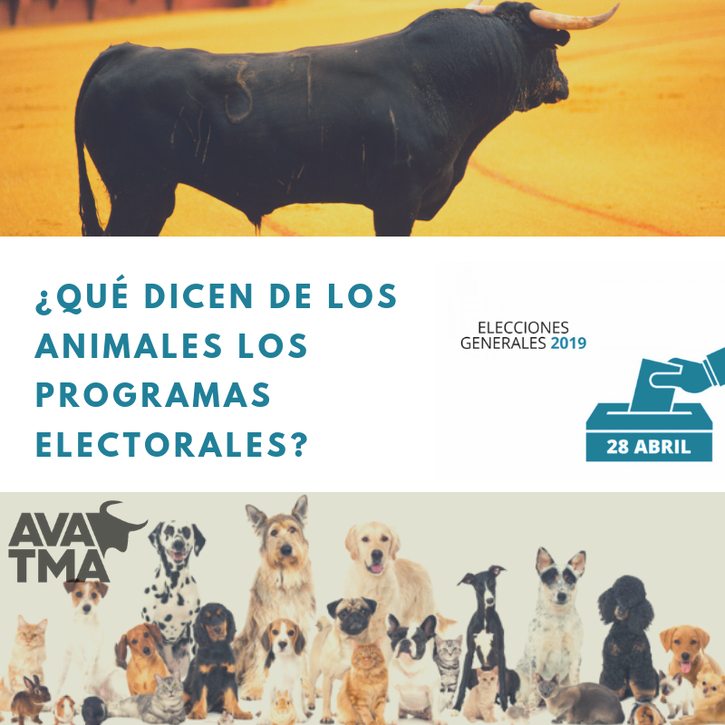 ¿Qué dicen de los animales los programas electorales?